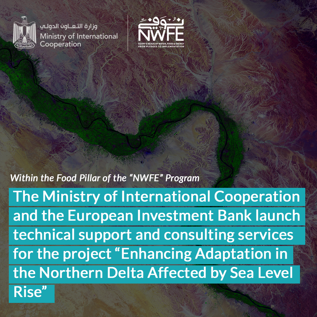 Ministry of International Cooperation - Within the Food Pillar of the ...